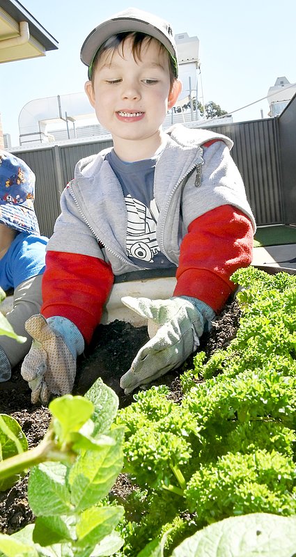 Kindergarten Programs | Kate’s Place - Toowoomba: Kate's Place